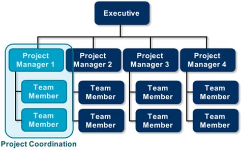 Project Management Organizational Structures Flashcards Quizlet