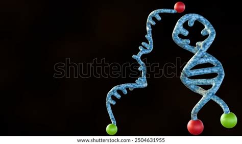 3d Rendering Molecular Beacons Dna Probes Stock Illustration 2504631955 Shutterstock