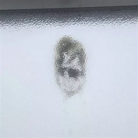 Woman Spots Sir Elton John Wearing His Famous Glasses In Bird Poo