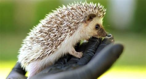 Цікаві факти 2015