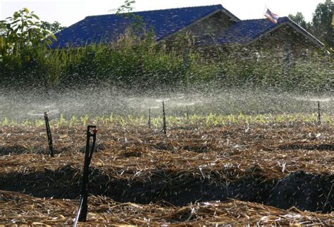 เกษตรฯ แนะวิธีจัดการแปลงปลูกผักให้ได้ผลผลิตคุณภาพ สถานีวิทยุกระจายเสียงเพื่อการเกษตร