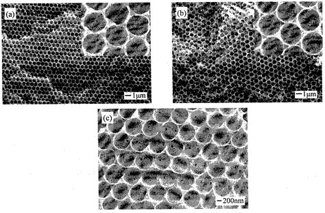 Ph Responsive Three Dimensional Ordered Macroporous Controlled Release