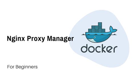 Nginx Proxy Manager A Docker Based Paas For Nginx