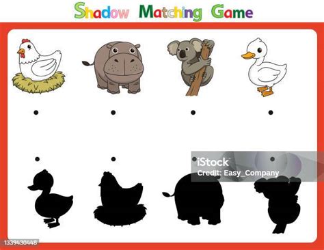 다른 모양의 그림자를 학습하기위한 벡터 그림입니다 어린이 마녀 4 만화 이미지 암탉 하마 코알라 오리 퍼즐에 대한 스톡 벡터 아트 및 기타 이미지 Istock