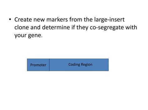 Map Based Cloning Of Genome Pptx