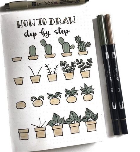 How To Draw Succulents With Easy Step By Step Tutorials