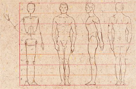 Як намалювати людину для початківців на повний зріст легко