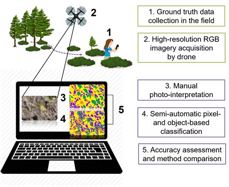 Remote Sensing Free Full Text Using Uav Imagery To Detect And Map Woody Species Encroachment