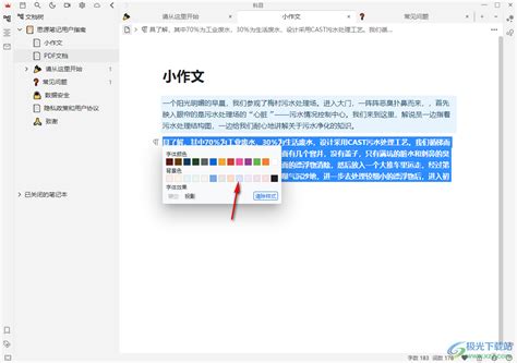 思源笔记怎么设置字体样式？ 电脑版思源笔记设置字体样式的方法 极光下载站