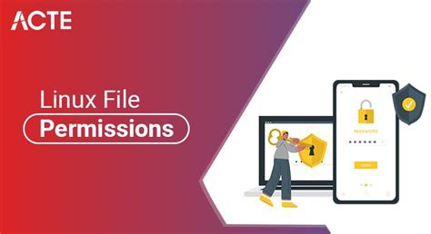 Linux File Permissions Experts Top Picks Everything You Need To