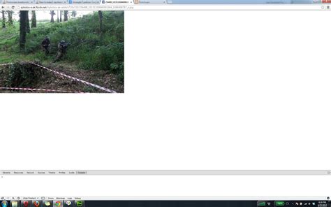 Javascript Photoswipe Doesnt Work As Expected Stack Overflow