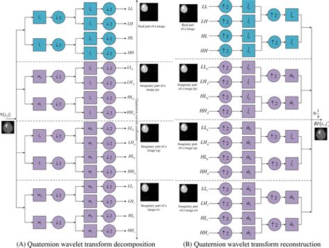 Quaternion Wavelet Transform Of An Image Download Scientific Diagram