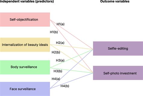 Graphical Illustration Of Hypotheses Download Scientific Diagram
