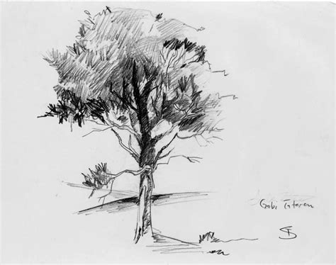 Basic Tree Sketch At PaintingValley Com Explore Collection Of Basic Tree Sketch