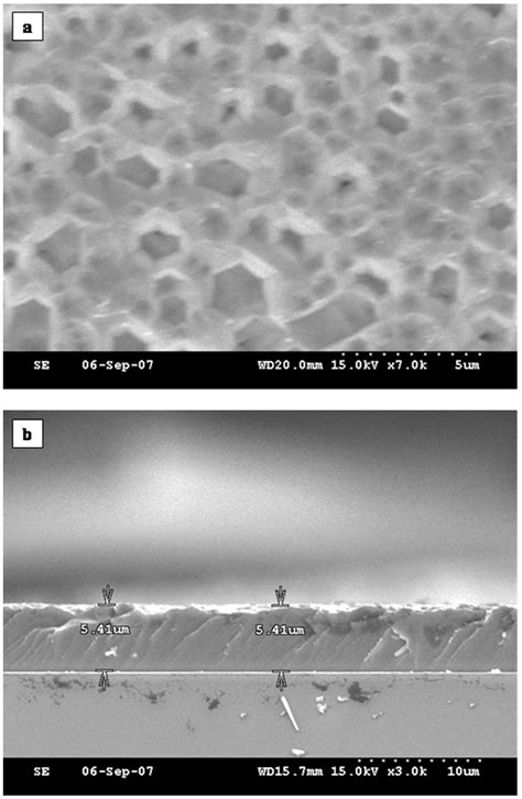 SEM Micrographs Of A The Surface Morphology And B The Thickness Of Download Scientific