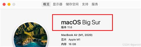 mac如何下载安装data loader dataload怎么下载 csdn博客
