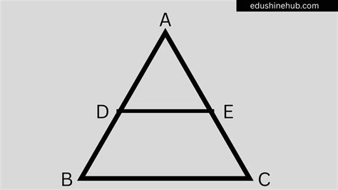 Unlock Success In BPT Basic Proportionality Theorem Class