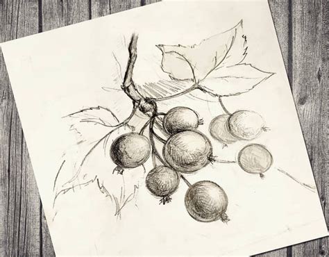 Монохром рисунок фрукта