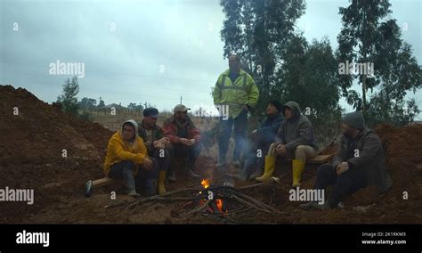 Taming The Garden Workers Tasked With Removing Trees To Be Transported To The Private Garden Of
