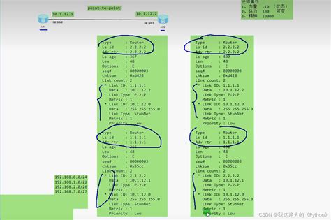ospf基础 ospf入门实例 csdn博客