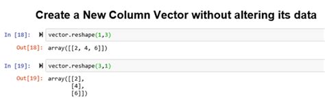 Scalars Vector And Matrices In Python Using Arrays