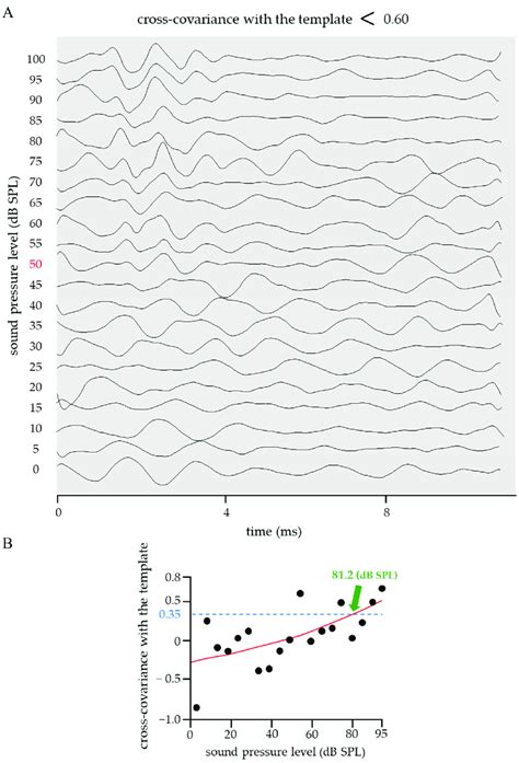 An Example Of Abr Waveforms Whose Cross Covariance With The Template