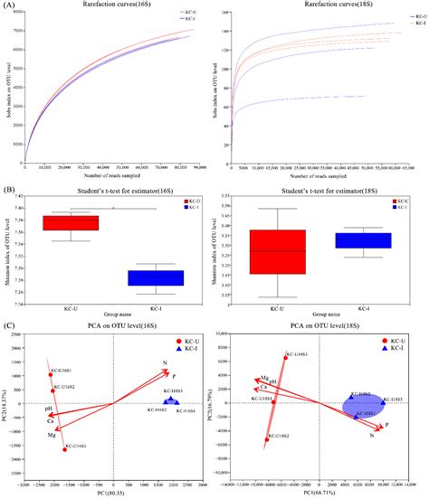 Diversity And Potential Function Of Prokaryotic And Eukaryotic Communities From Different