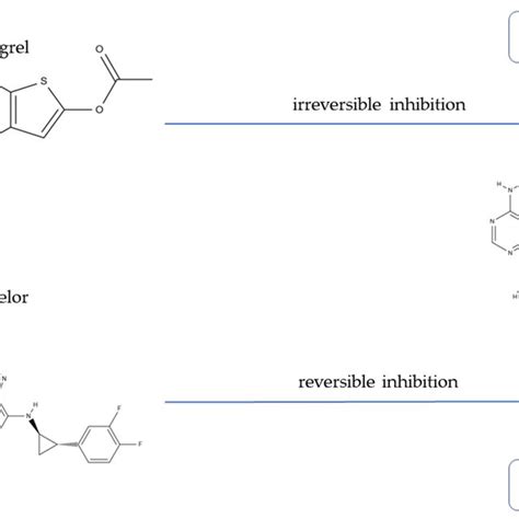 Platelet Reactivity According To Vasp Assay Download Scientific Diagram