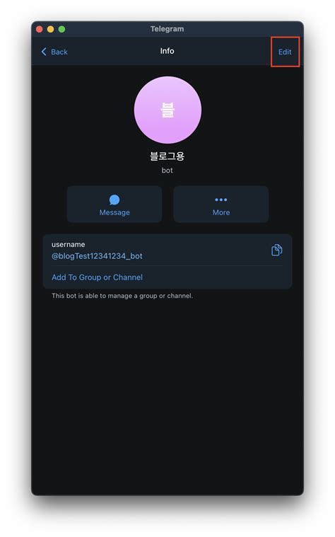 [python] 텔레그램 봇 기능 사용해보기 — it totality 개발 웹 인프라까지