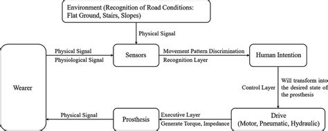 Control Block Diagram Of Powered Lower Limb Prosthesis Download Scientific Diagram