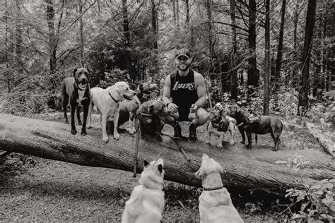 Mpi Detector Dogs Added A New Photo Mpi Detector Dogs