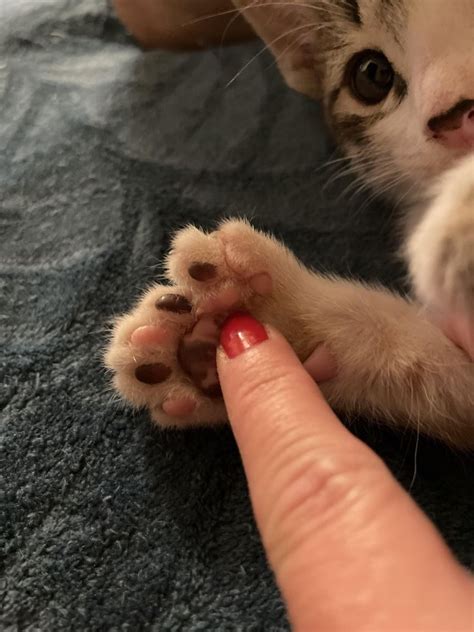 14 цікавих знімків які доводять що у звичайному житті теж є місце несподіванкам ОЧМАНІТИ