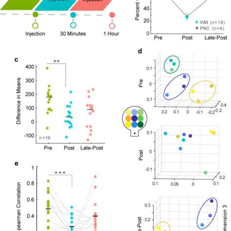 Ketamine Manipulation Disrupts Neural Sequences And Working Memory A Download Scientific