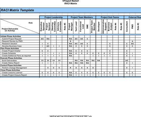 Linear Responsibility Chart Template