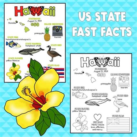 Us States Fast Facts Hawaii By That Teacher Abroad Tpt