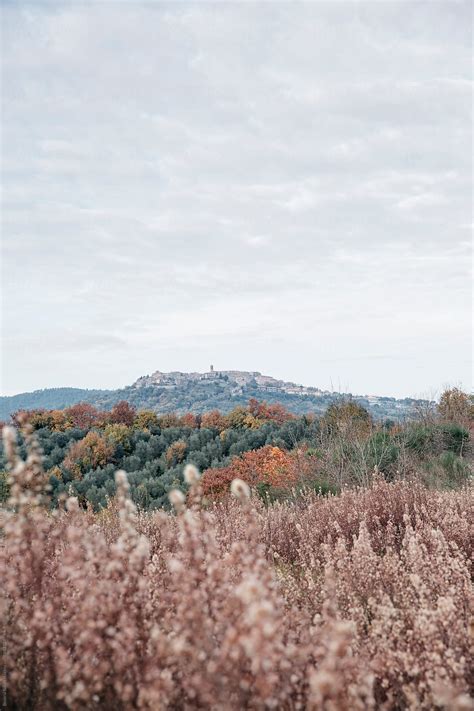 Tuscan Countryside In Fall By Stocksy Contributor Beatrix Boros