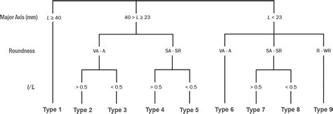 Stepwise Clustering Hierarchical Tree Shows How Clasts Are Sorted First