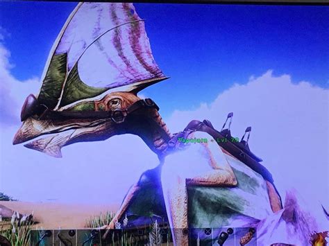 Tapejara Names Ark Survival Evolved Amino