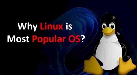 What Is Linux And Why It Is Most Popular Os Web Asha Technologies