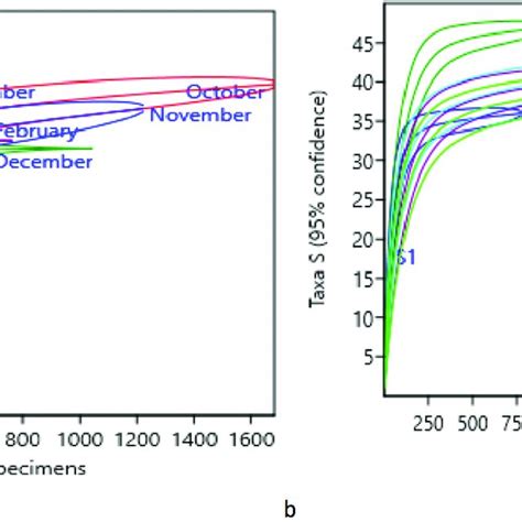 A Individual Rarefaction Analysis Plot Based On Months B Individual