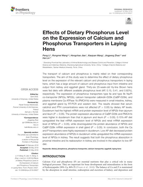(PDF) Effects of Dietary Phosphorus Level on the Expression of Calcium ...