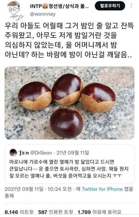 더쿠 밤같이 생겼는데 먹으면 큰일난다는 열매