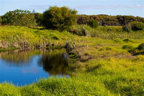 Chevron To Finance Carbon Sequestration Projects In Wa Petroleum Australia