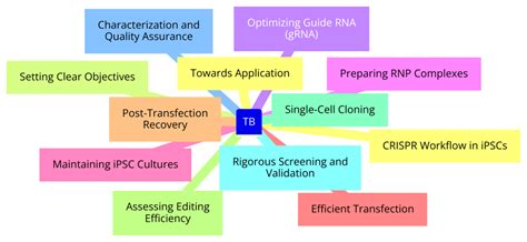 article on streamlining crispr workflow in ipscs a guide to precision