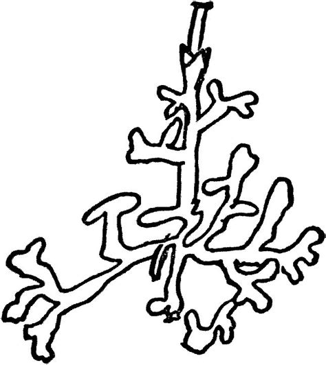 Free Tree Root Font Download Free Tree Root Font Png Images Free