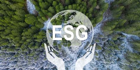 Hplc Pump Troubleshooting Resolve Pressure And Performance Issues In Hplc Systems