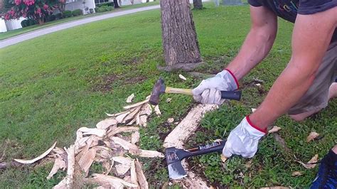 How To Remove Tree Roots After Stump Grinding HOWOTREMVO