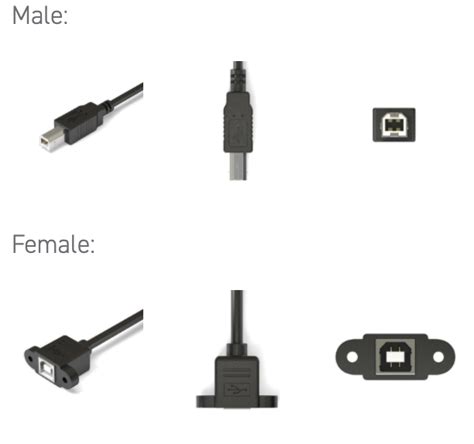 What Is Usb Petra Blog