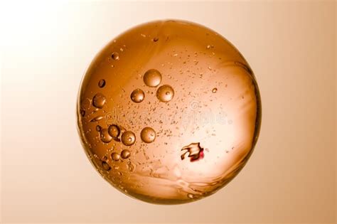Microscopic View Of Cells With Microorganisms And Bubbles Microbiology Research Stem Cell