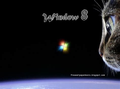 50 Sexy Wallpapers Windows 8 WallpaperSafari